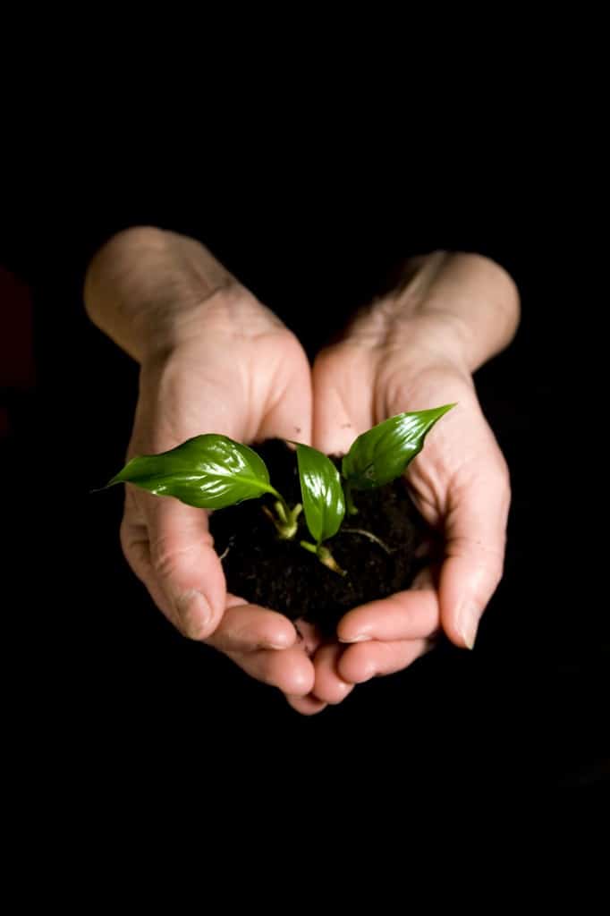 Tips For A Green Massage Therapy Business Massage And Bloggywork